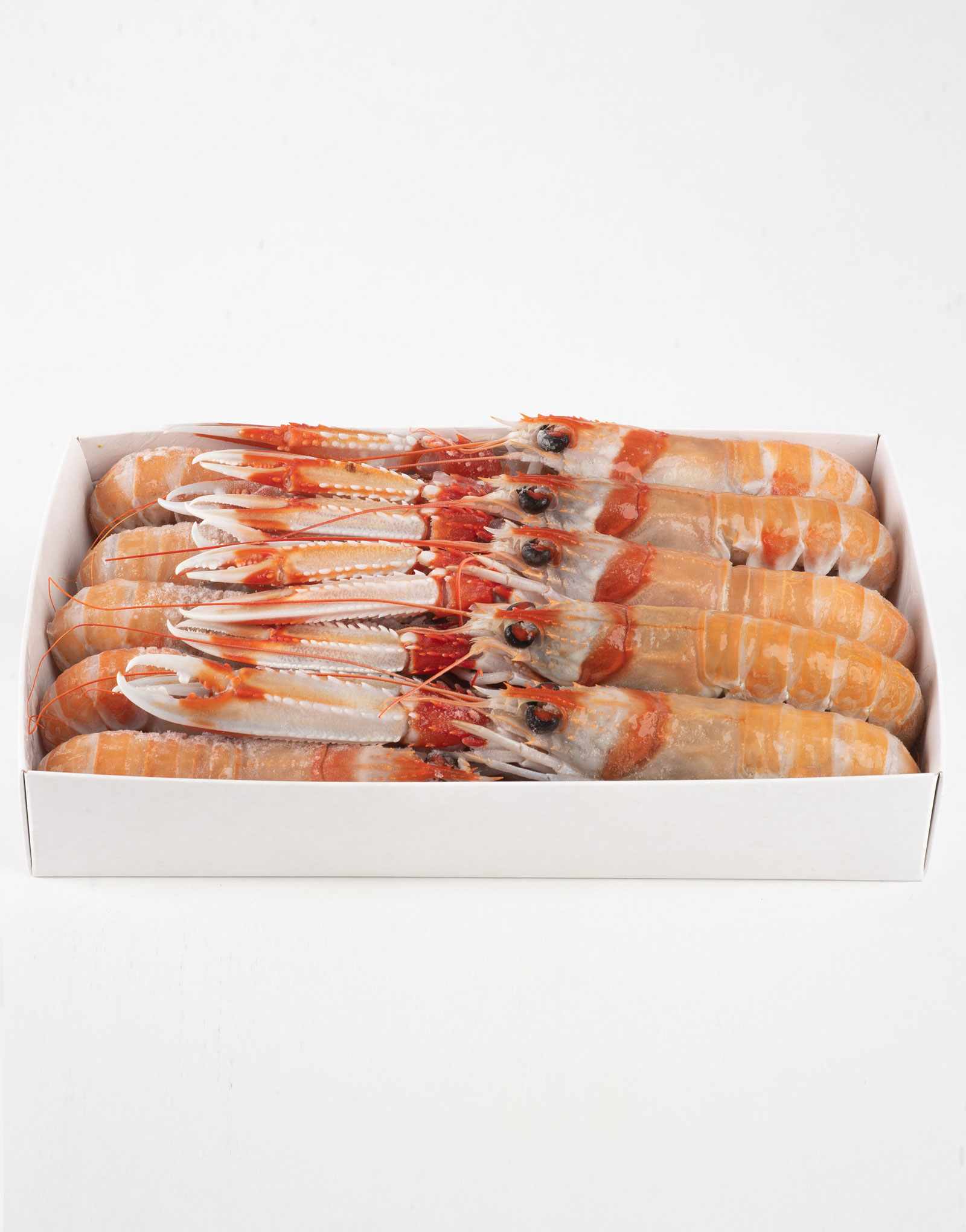 Introducción a las cigalas: marisco delicado y versátil para tu cocina